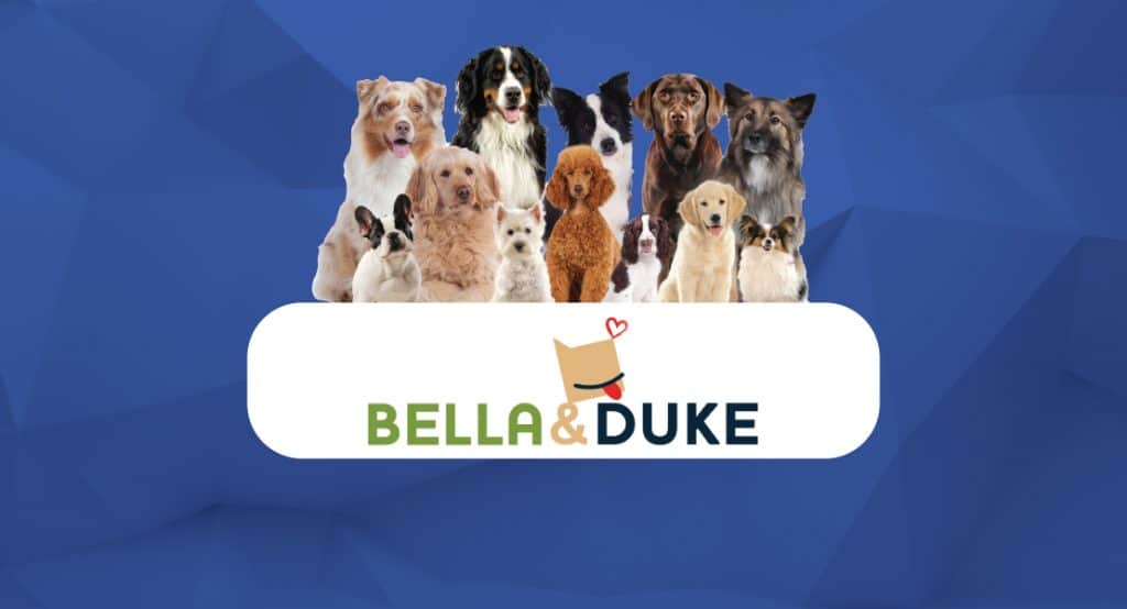 Bella & Duke - Active International